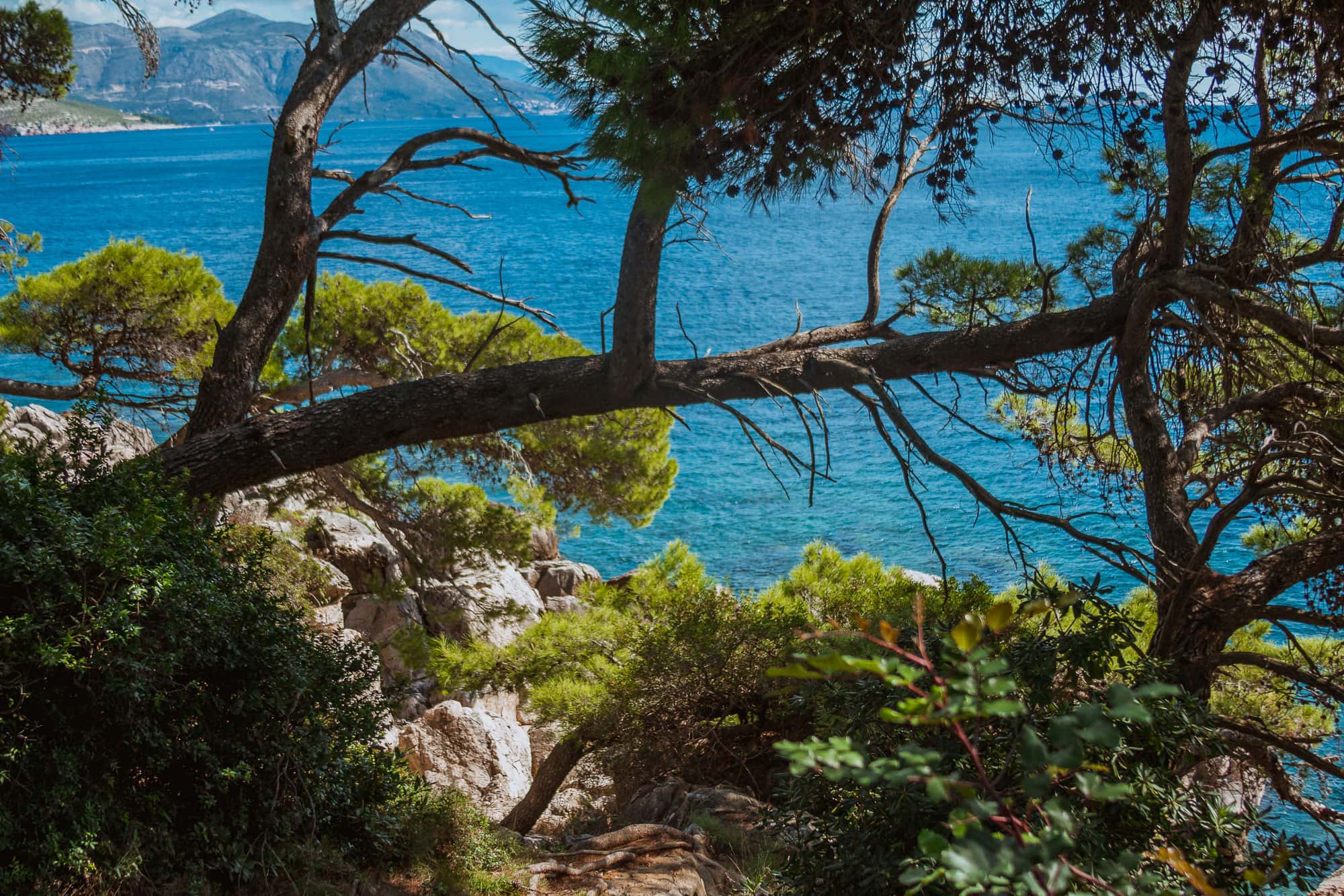 Isla Lokrum de Dubrovnik - Conoce las islas de Dubrovnik - Conociendo🌎